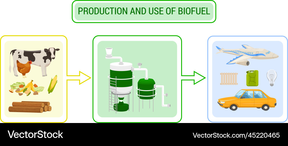 Biofuel production infographics Royalty Free Vector Image