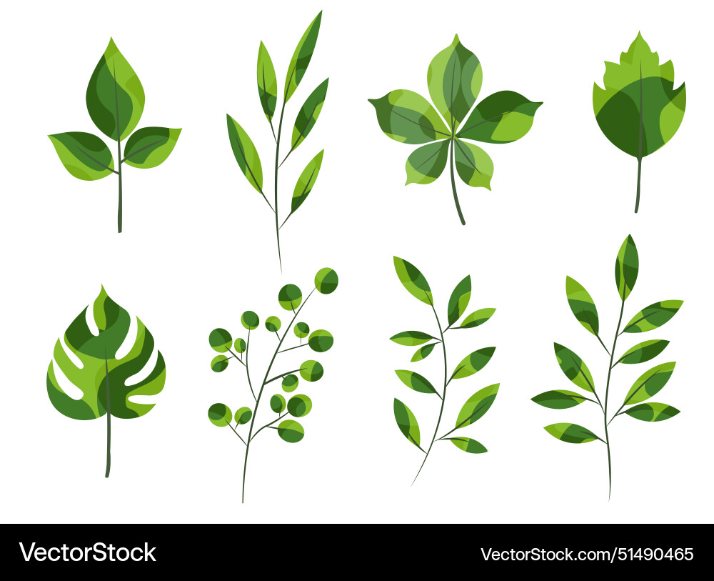 Green stylized branches leaves set Royalty Free Vector Image