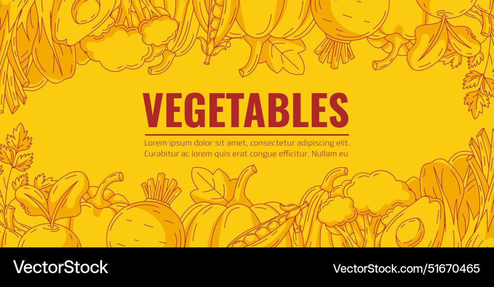 Harvesting vegetables horizontal minimalist Vector Image