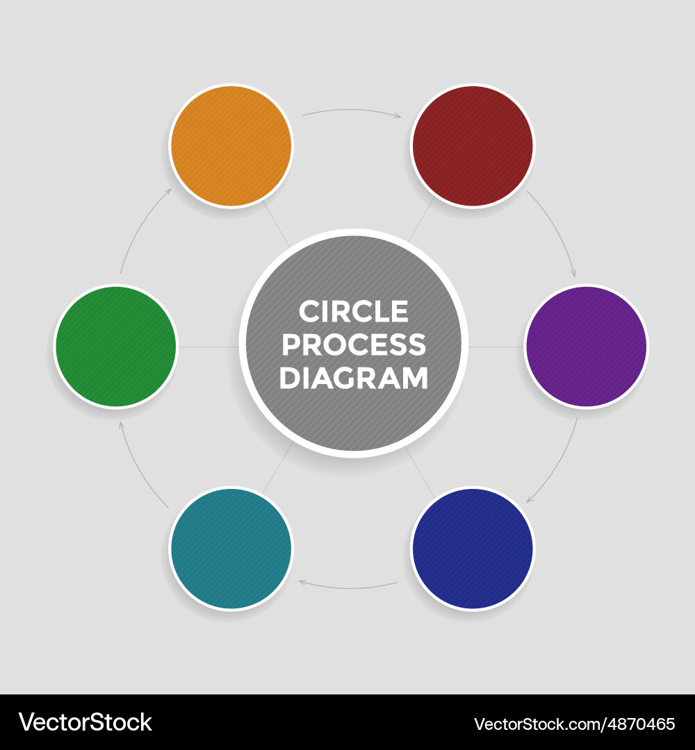 Infographic in the form of circle process diagram Vector Image