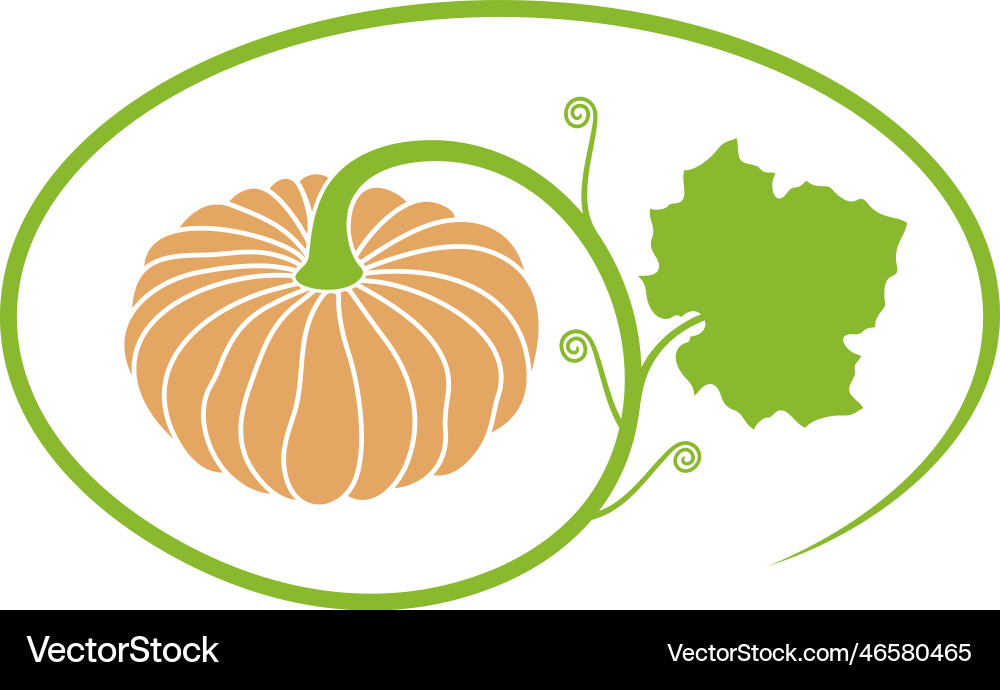 Pumpkin Royalty Free Vector Image - VectorStock