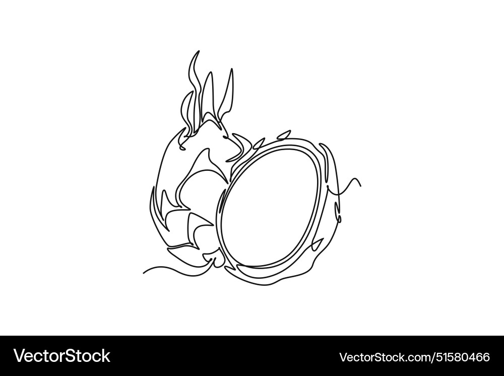 Single continuous line drawing whole and half Vector Image