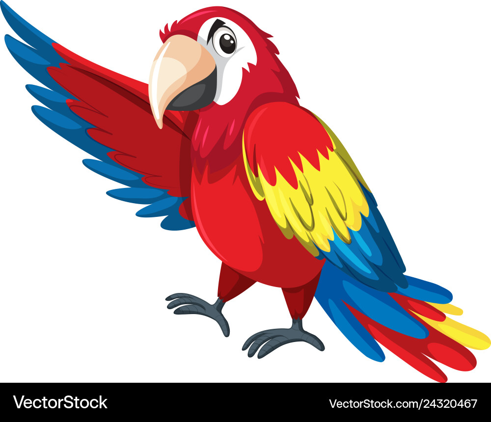 A colourful parrot character Royalty Free Vector Image