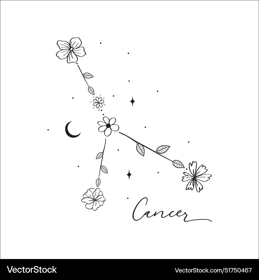 Cancer constellation with hand drawn doodle Vector Image