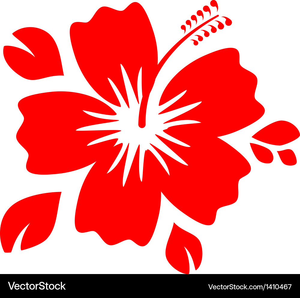 Hibiscus flower Royalty Free Vector Image - VectorStock
