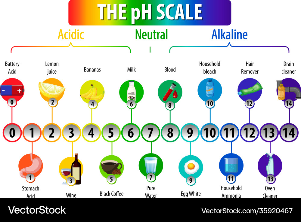 Ph scale diagram on white background Royalty Free Vector