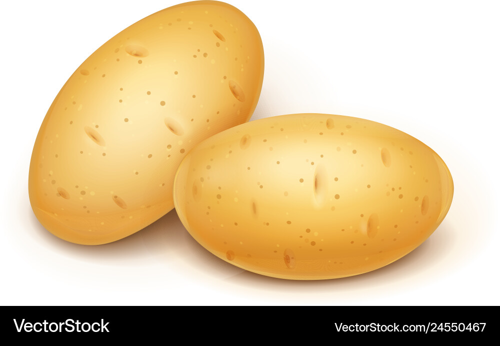 Two potatoes useful Royalty Free Vector Image - VectorStock