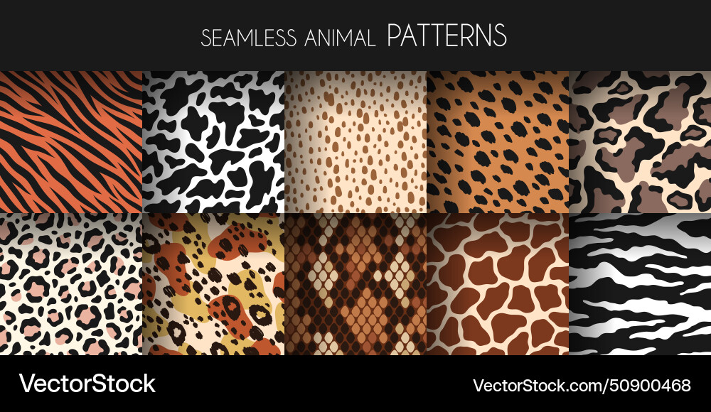 Animal fur seamless patterns leather and skin Vector Image