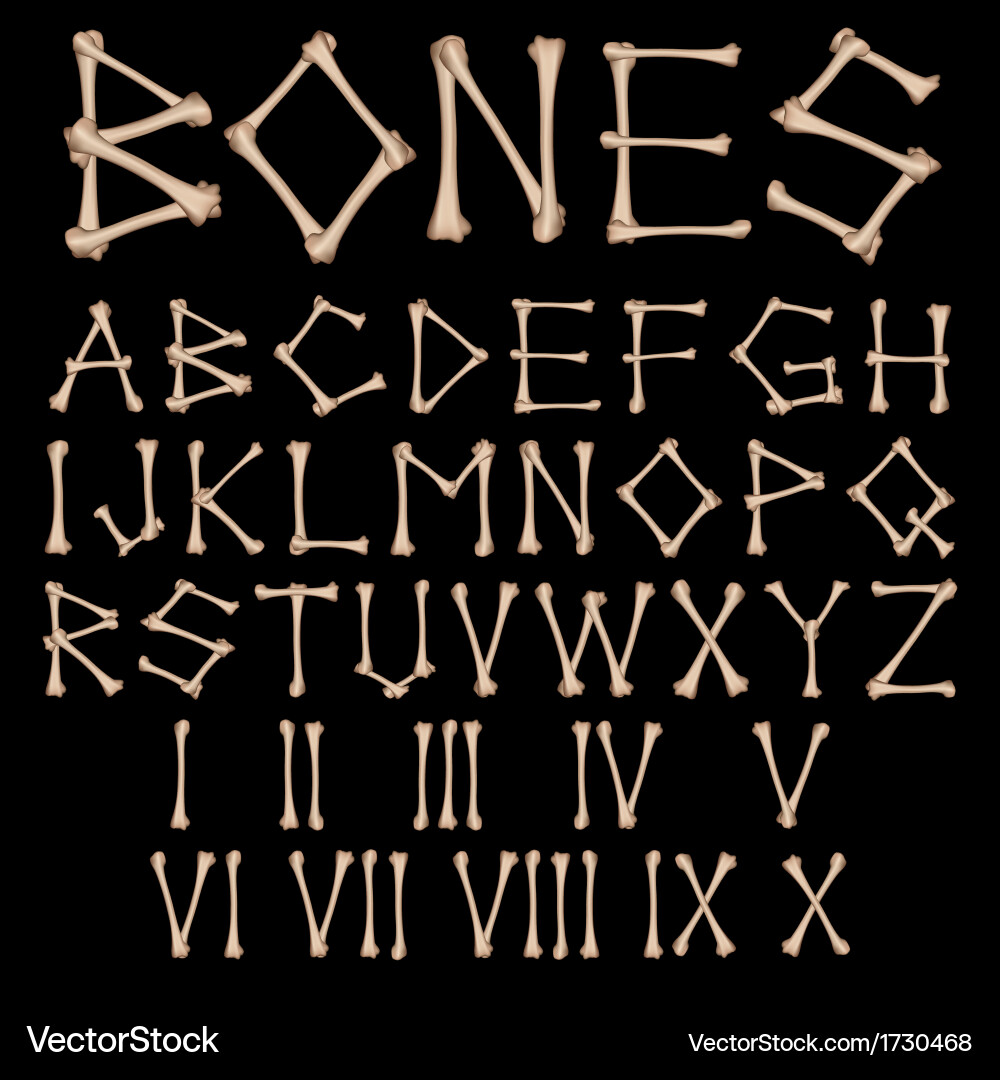 Bones alphabet Royalty Free Vector Image - VectorStock