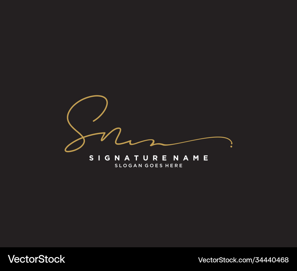 Elegant Sn Signature Logo Royalty Free Vector Image