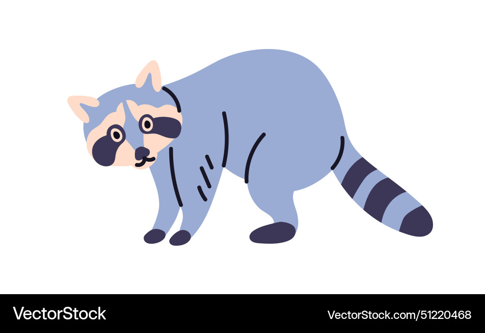 Funny raccoon standing in amusing pose cute wild Vector Image