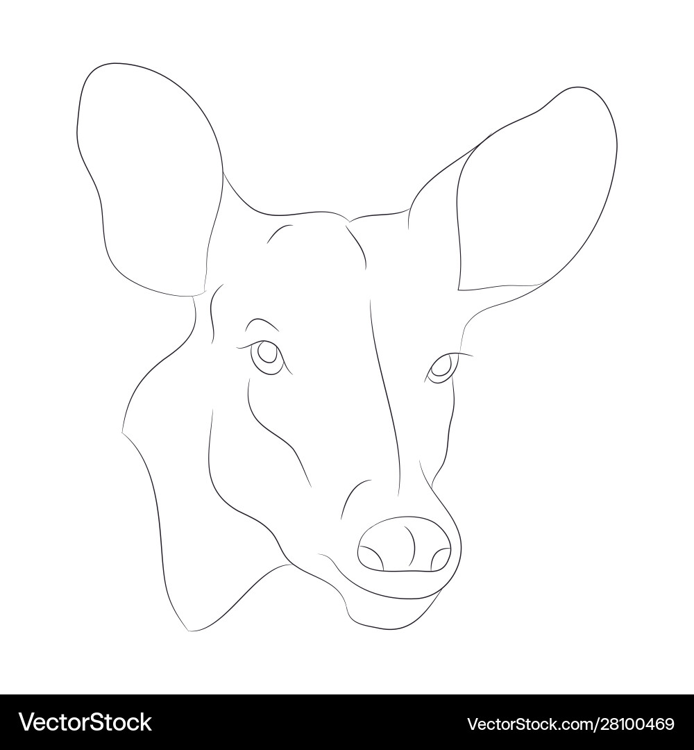 Deer portrait line drawing Royalty Free Vector Image
