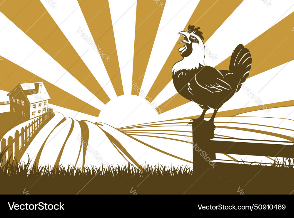 Farm and rooster Royalty Free Vector Image - VectorStock