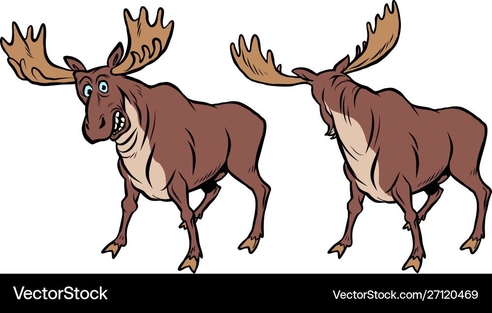 Funny moose with reaction Royalty Free Vector Image