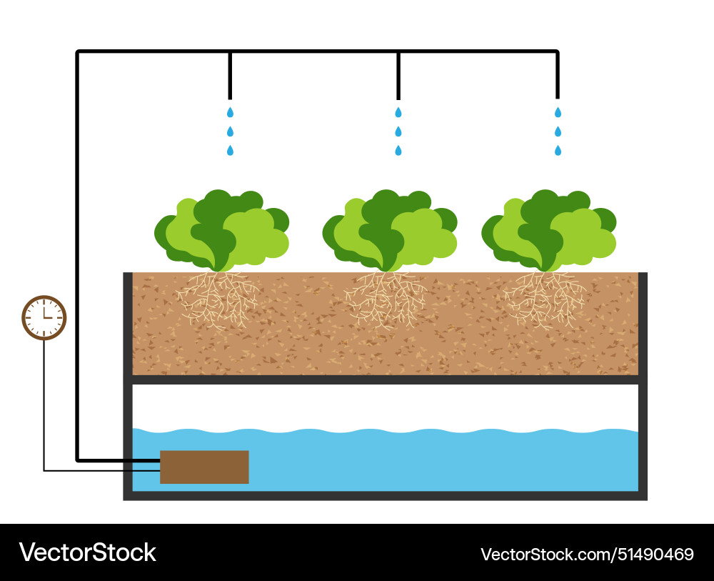 Modern green farming hydroponics aeroponics Vector Image