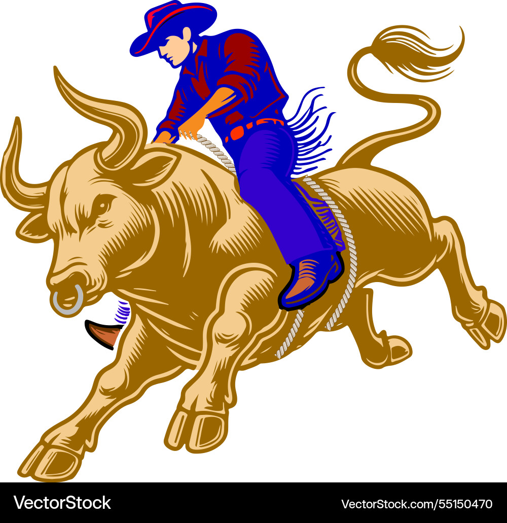 A bull riders journey Royalty Free Vector Image