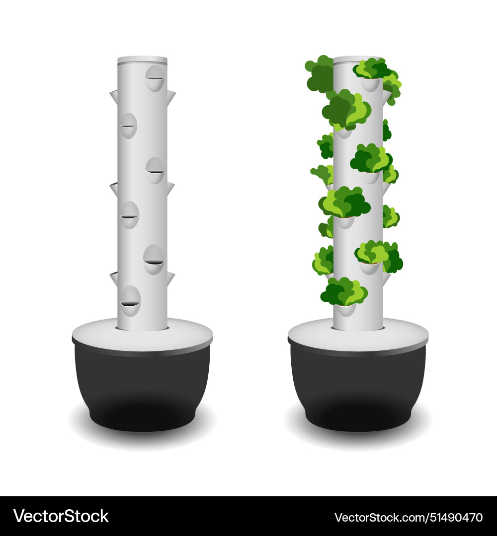 Modern green vertical farming hydroponics Vector Image
