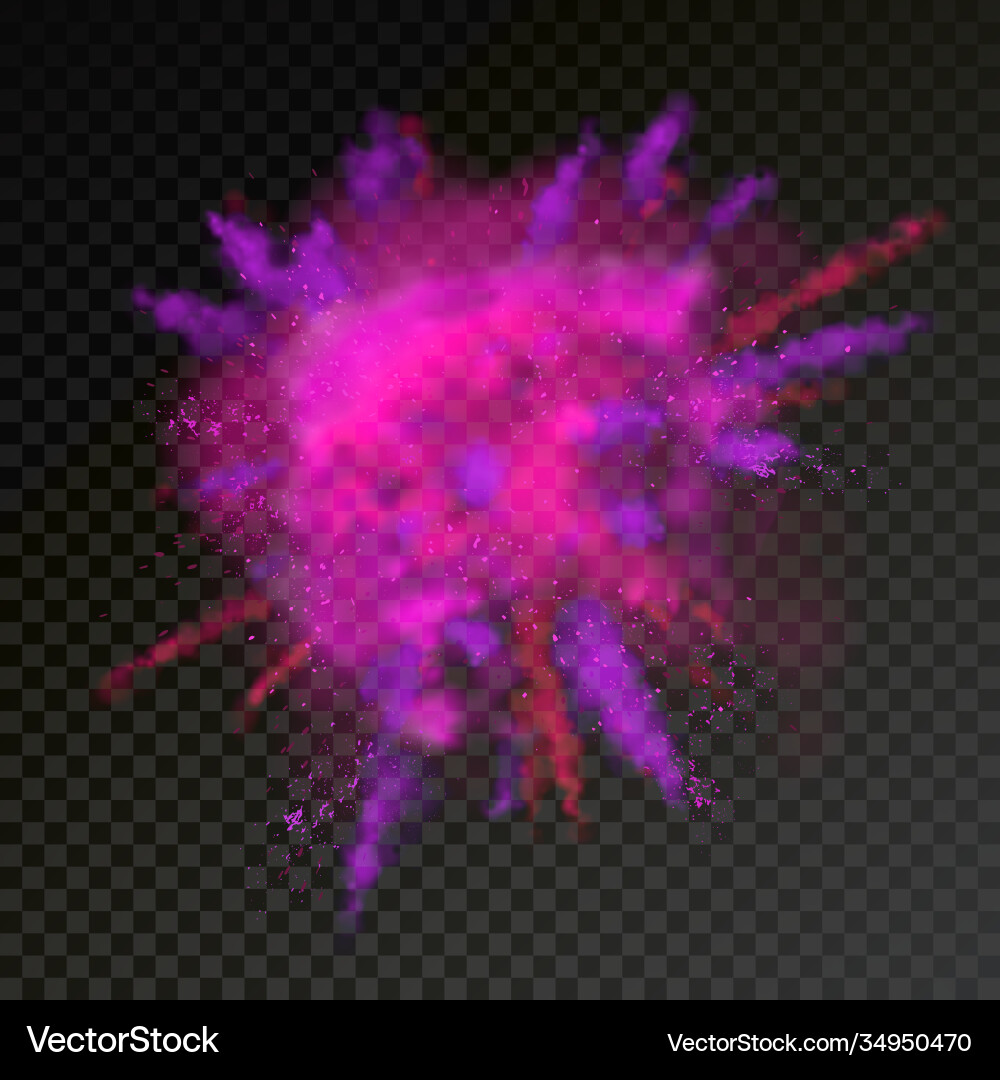 Paint powder color explosion on transparent Vector Image