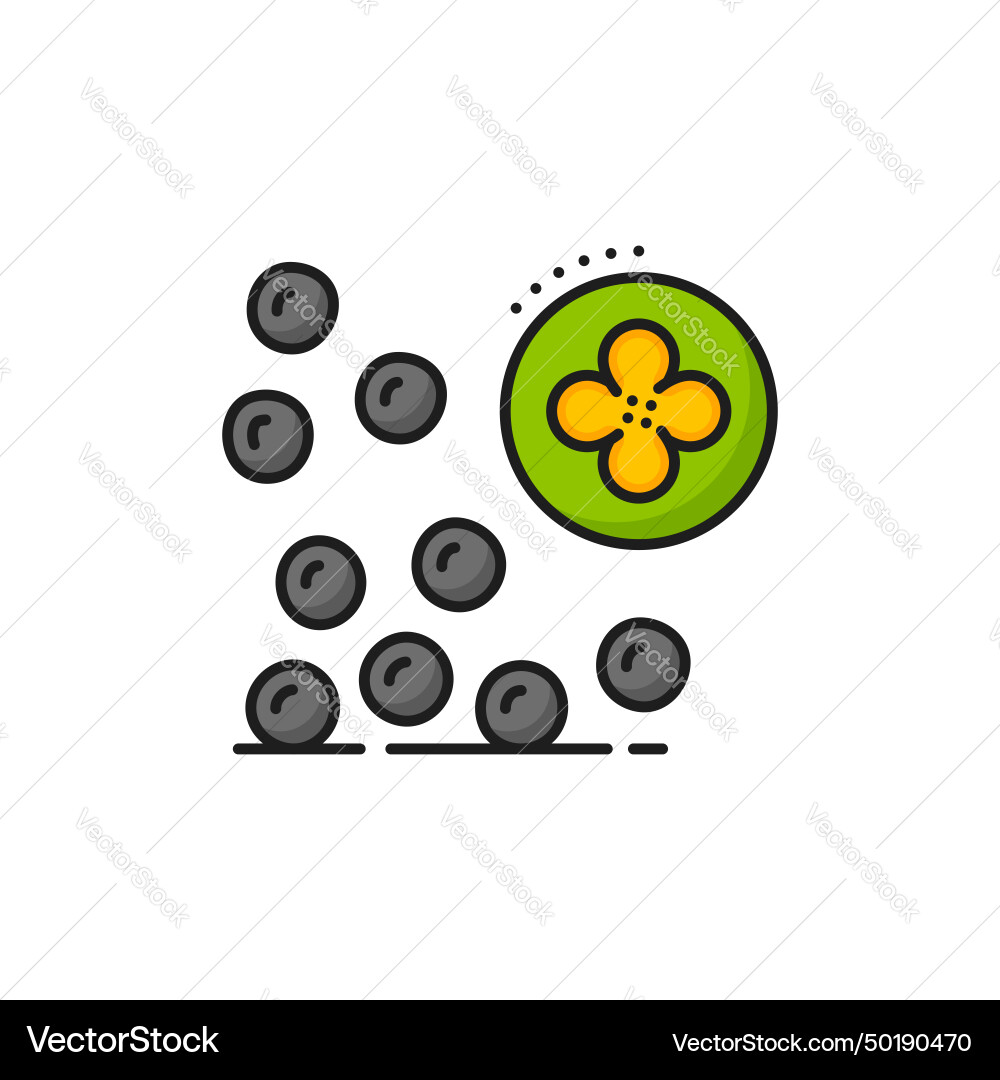 Rapeseed canola oil linear icon with black seeds Vector Image