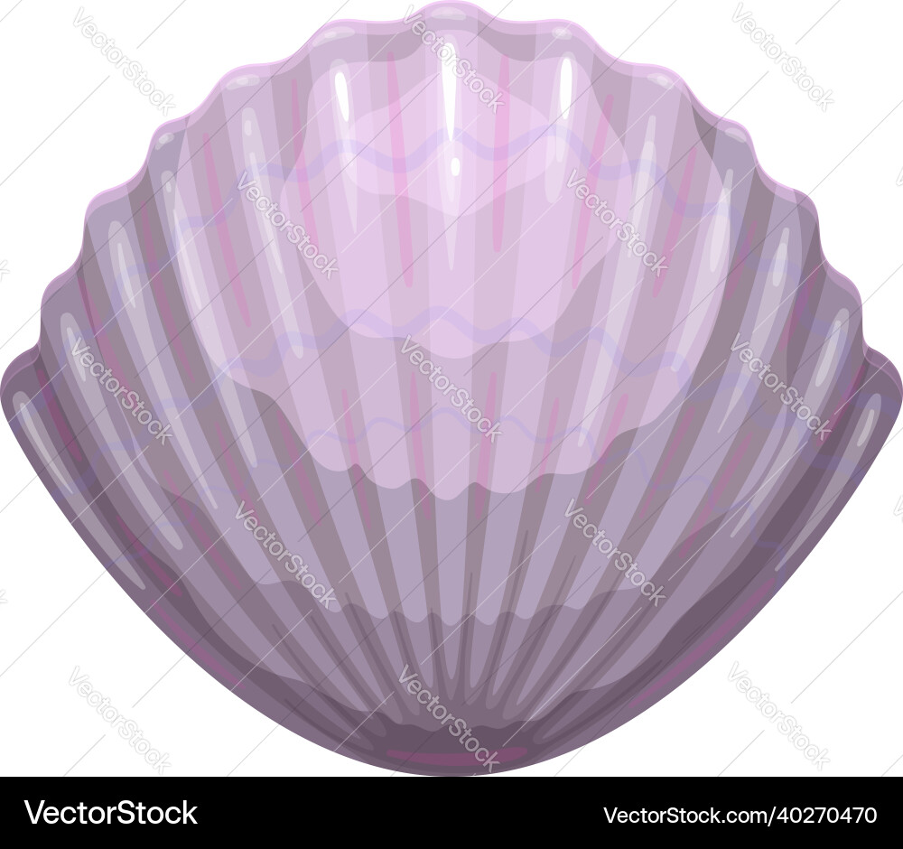 Sea scallop seashell Royalty Free Vector Image