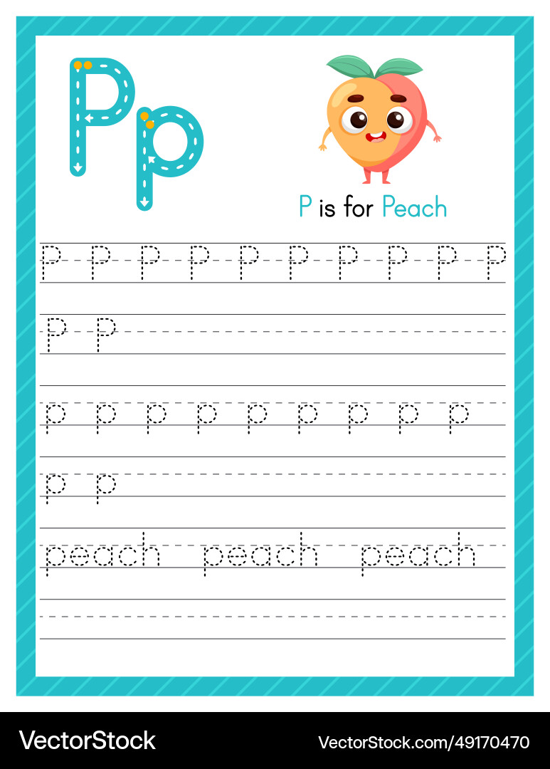 Trace letter p uppercase and lowercase alphabet Vector Image