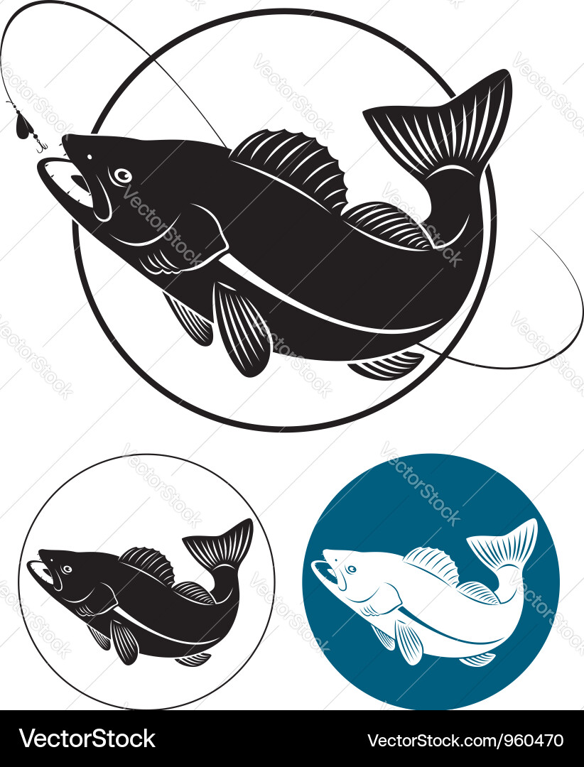 Walleye Royalty Free Vector Image - VectorStock