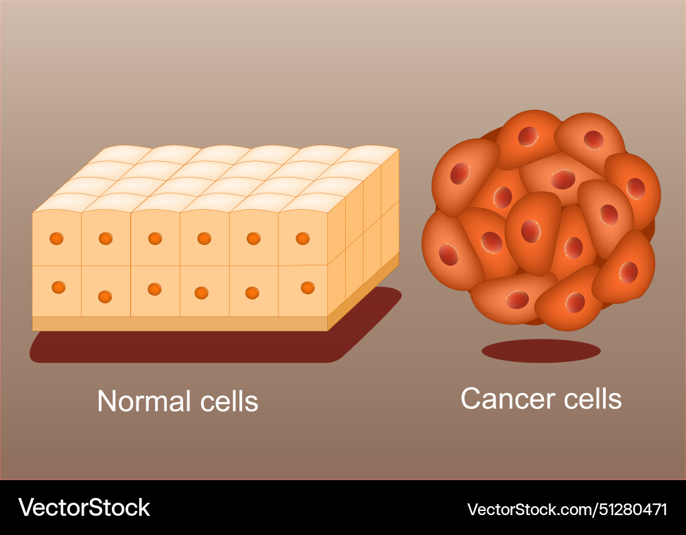 Cancer cells and normal cell Royalty Free Vector Image