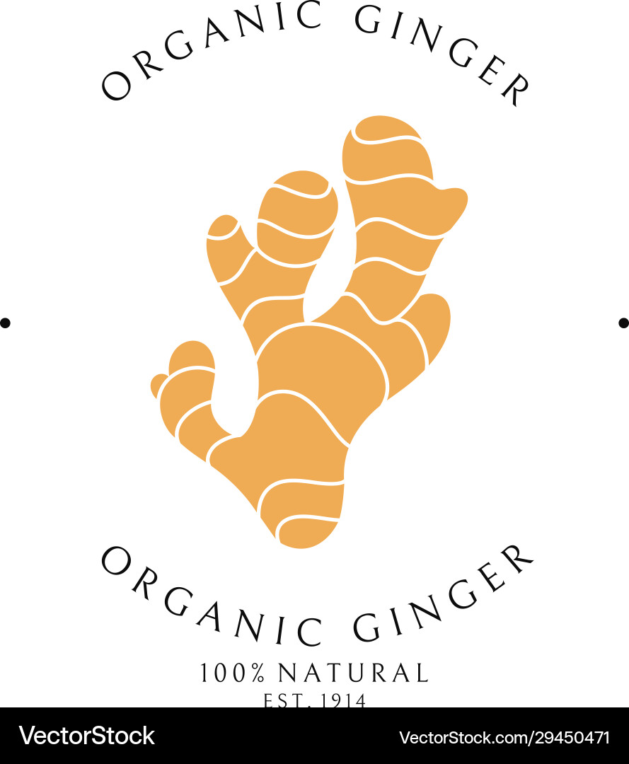Ginger Root Logo Ginger Logos + Free Logo Maker