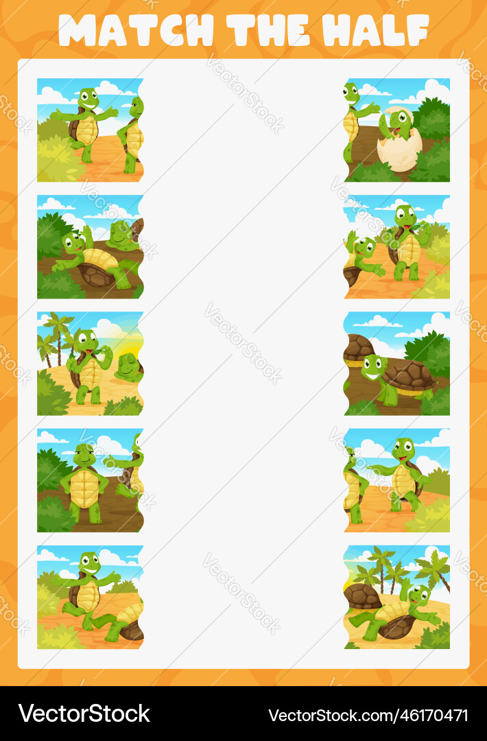 Match the half game worksheet with cartoon turtle Vector Image