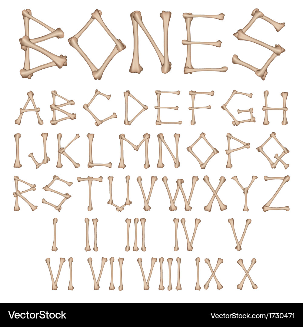 Skeleton Alphabet Bones Set Royalty Free Vector Image