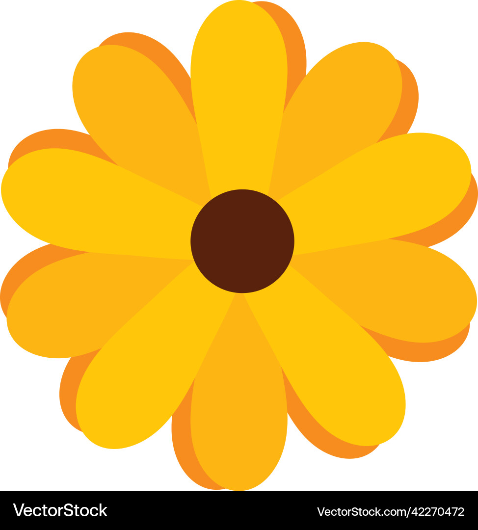 Beautiful yellow sunflower Royalty Free Vector Image