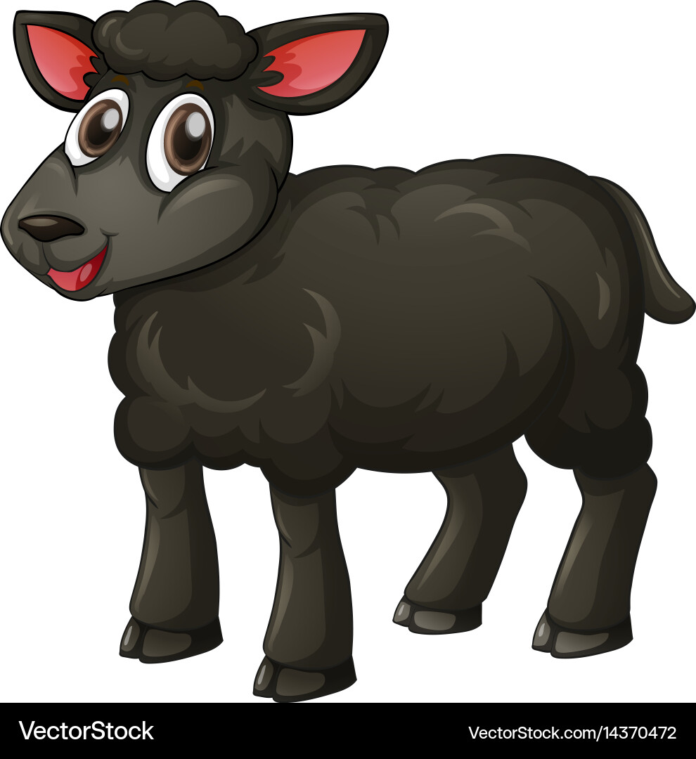 Black lamb on white background Royalty Free Vector Image