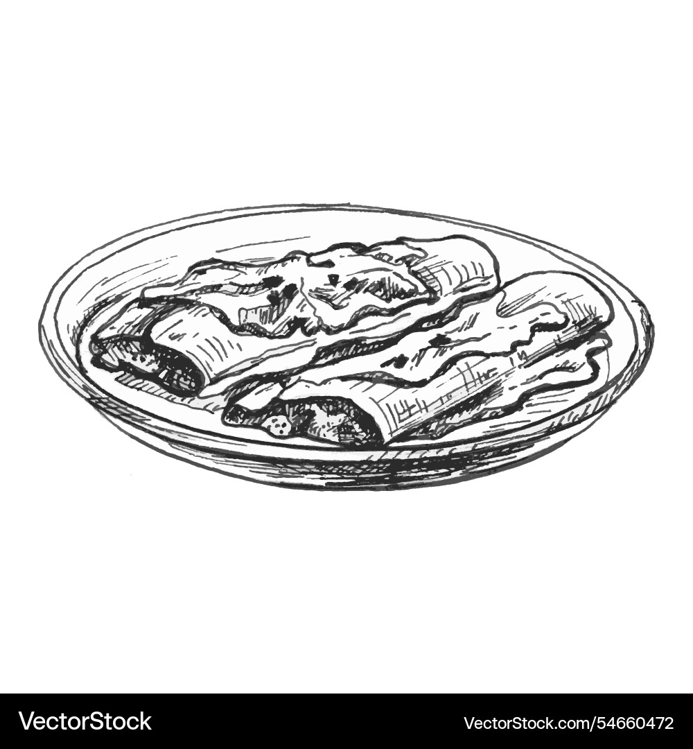 Enchilada in plate - mexican traditional food Vector Image
