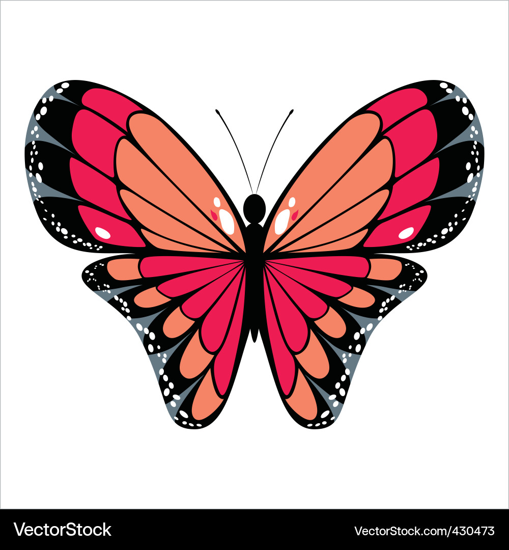 Butterfly Royalty Free Vector Image - VectorStock