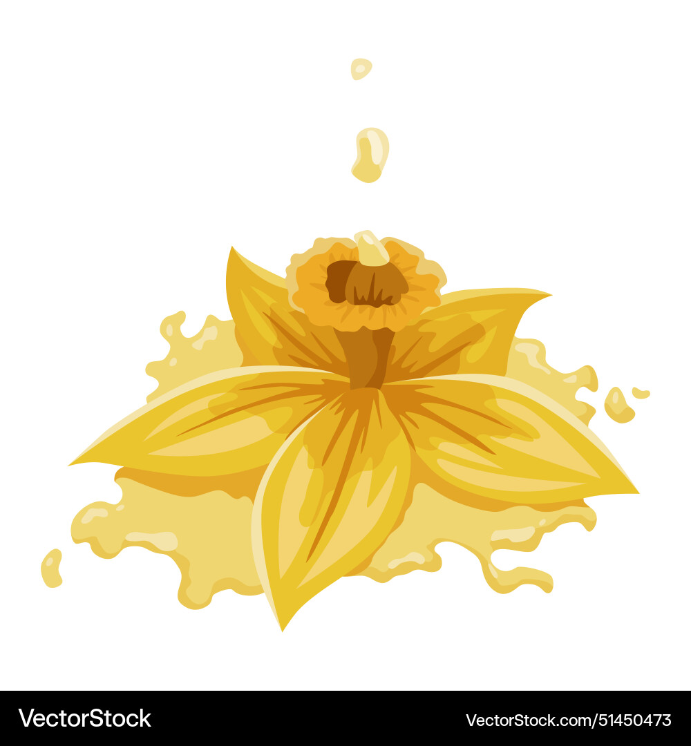 Vanilla flower realistic isolated design Vector Image