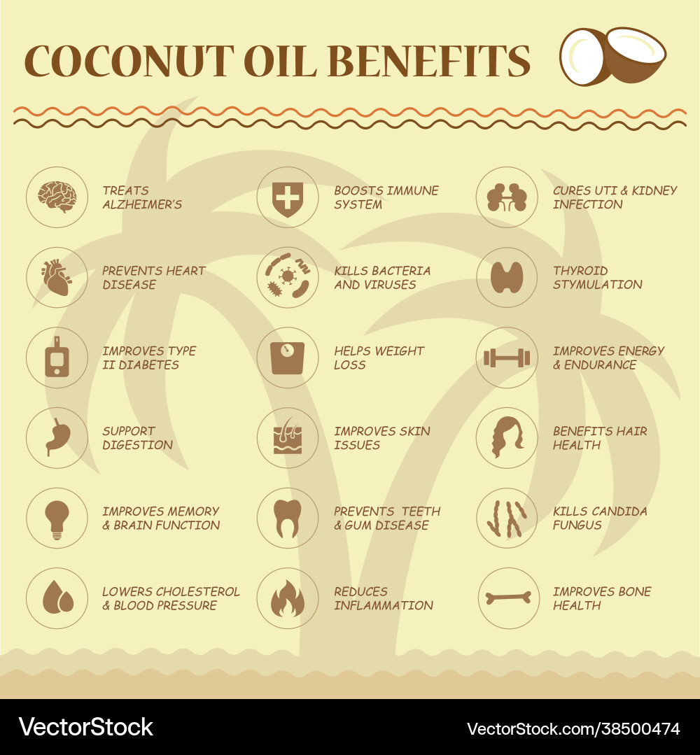 Coconut oil infographic Royalty Free Vector Image