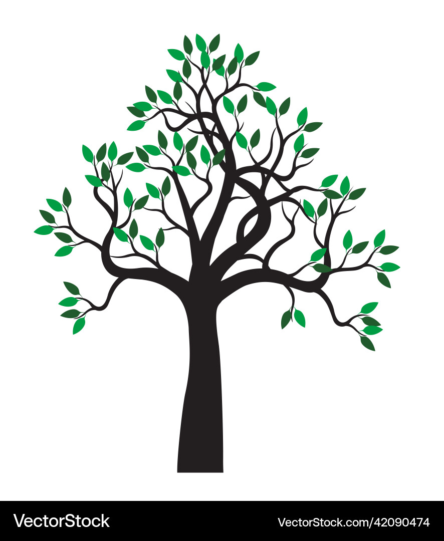 Green spring tree Royalty Free Vector Image - VectorStock