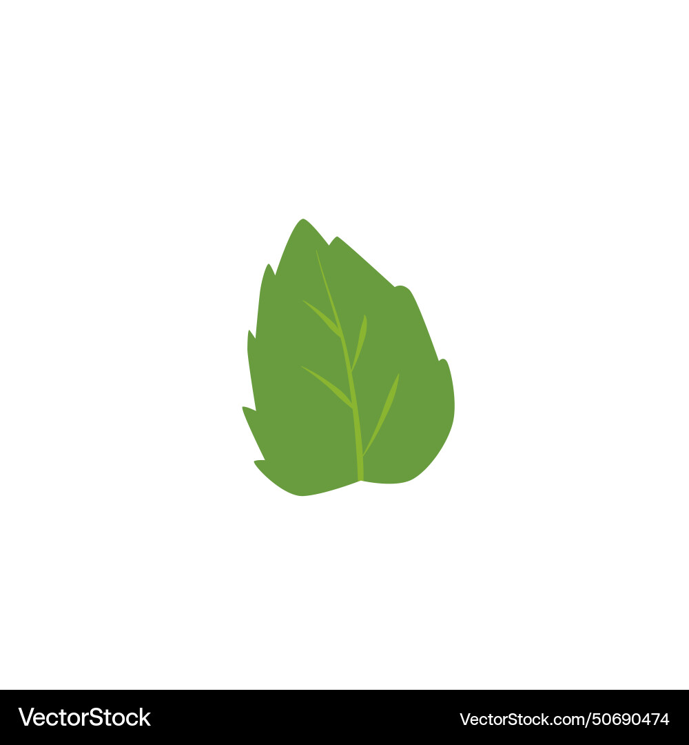 Simple green leaf flat style Royalty Free Vector Image