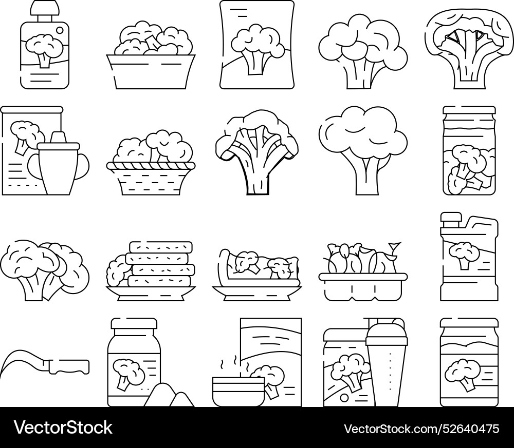 Broccoli vegetable green food icons set Royalty Free Vector