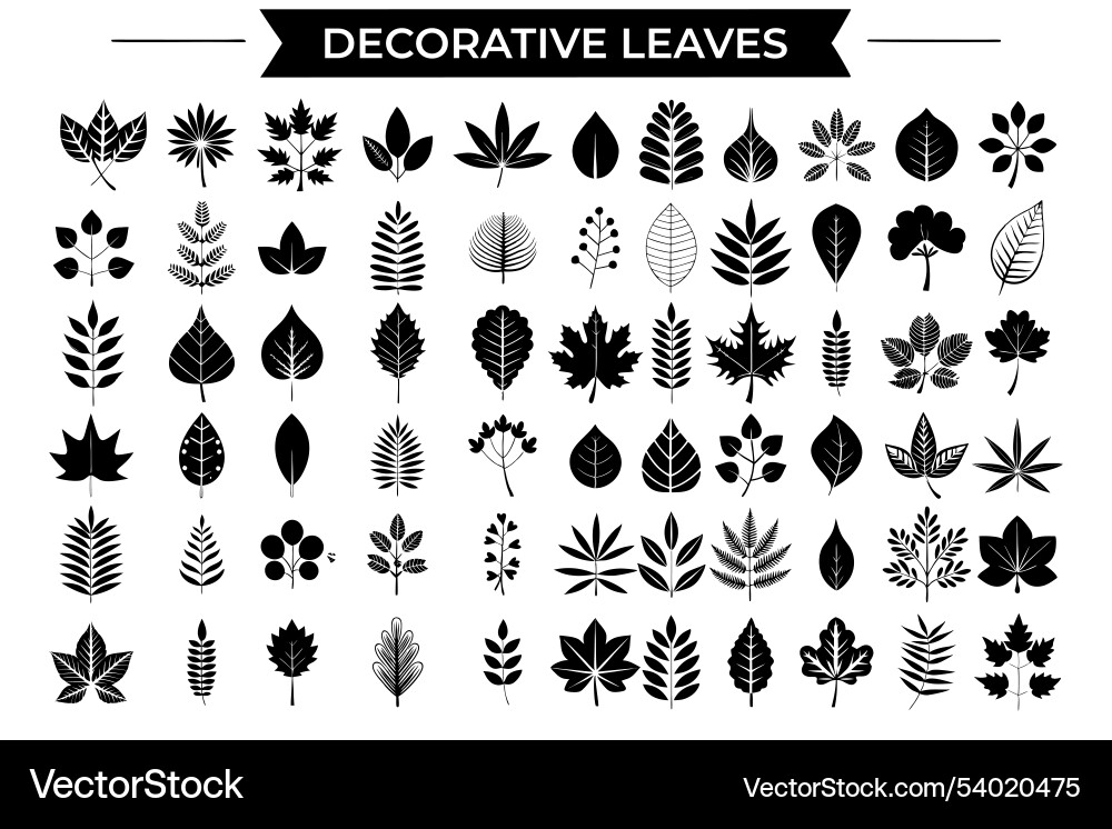 Decorative leaves collection Royalty Free Vector Image