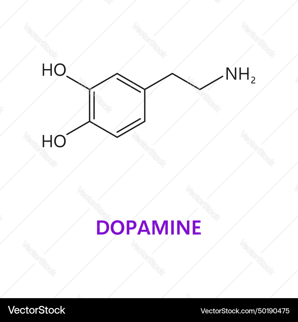 Chemical Icon Dopamine Vector Images (over 410)