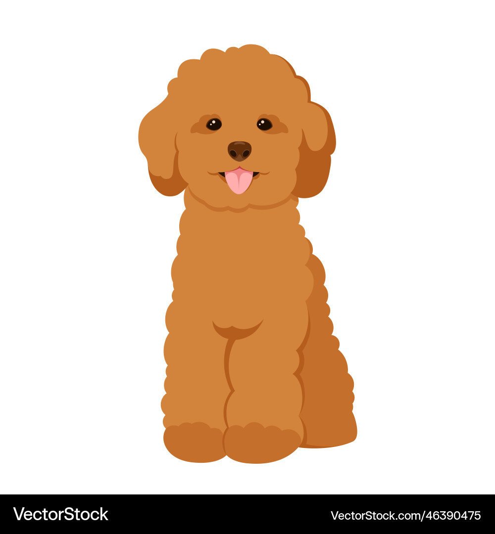 Poodle Royalty Free Vector Image - VectorStock