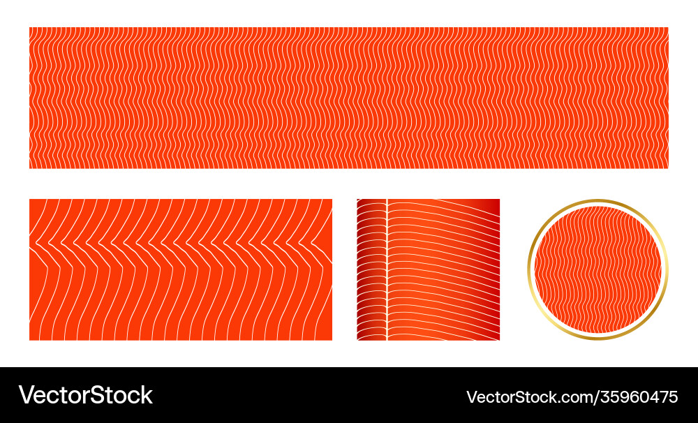Salmon fillet texture fish pattern Royalty Free Vector Image