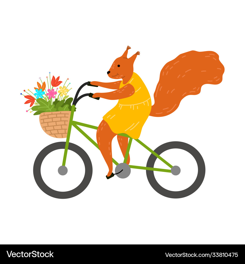 Smiling red squirrel riding bicycle and carrying Vector Image
