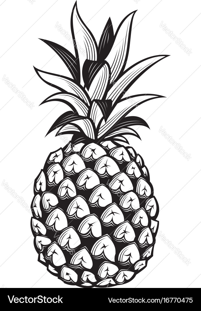 Tropical Pineapple Fruit Royalty Free Vector Image