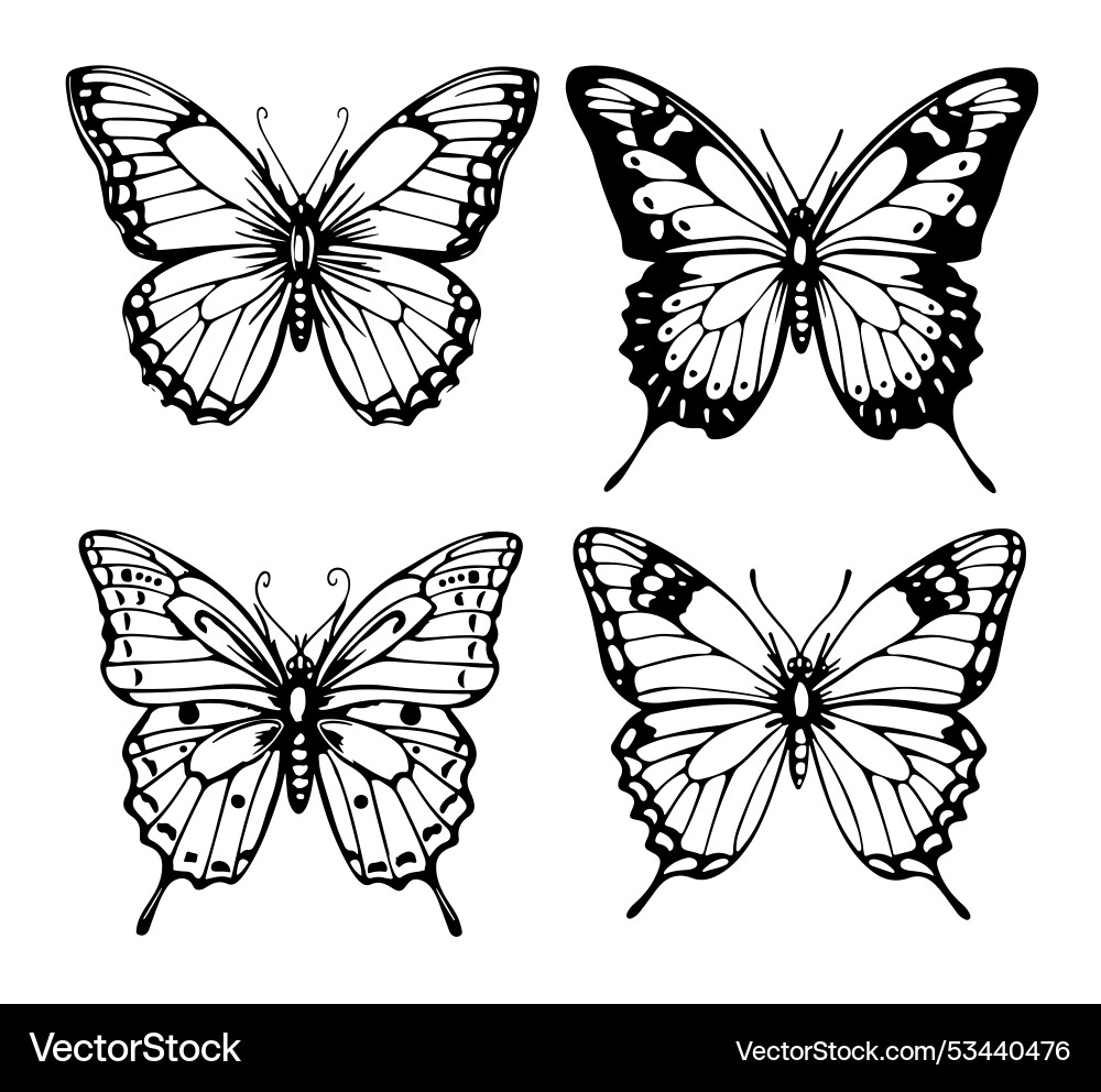 Beautiful butterfly set sketch hand drawn Vector Image