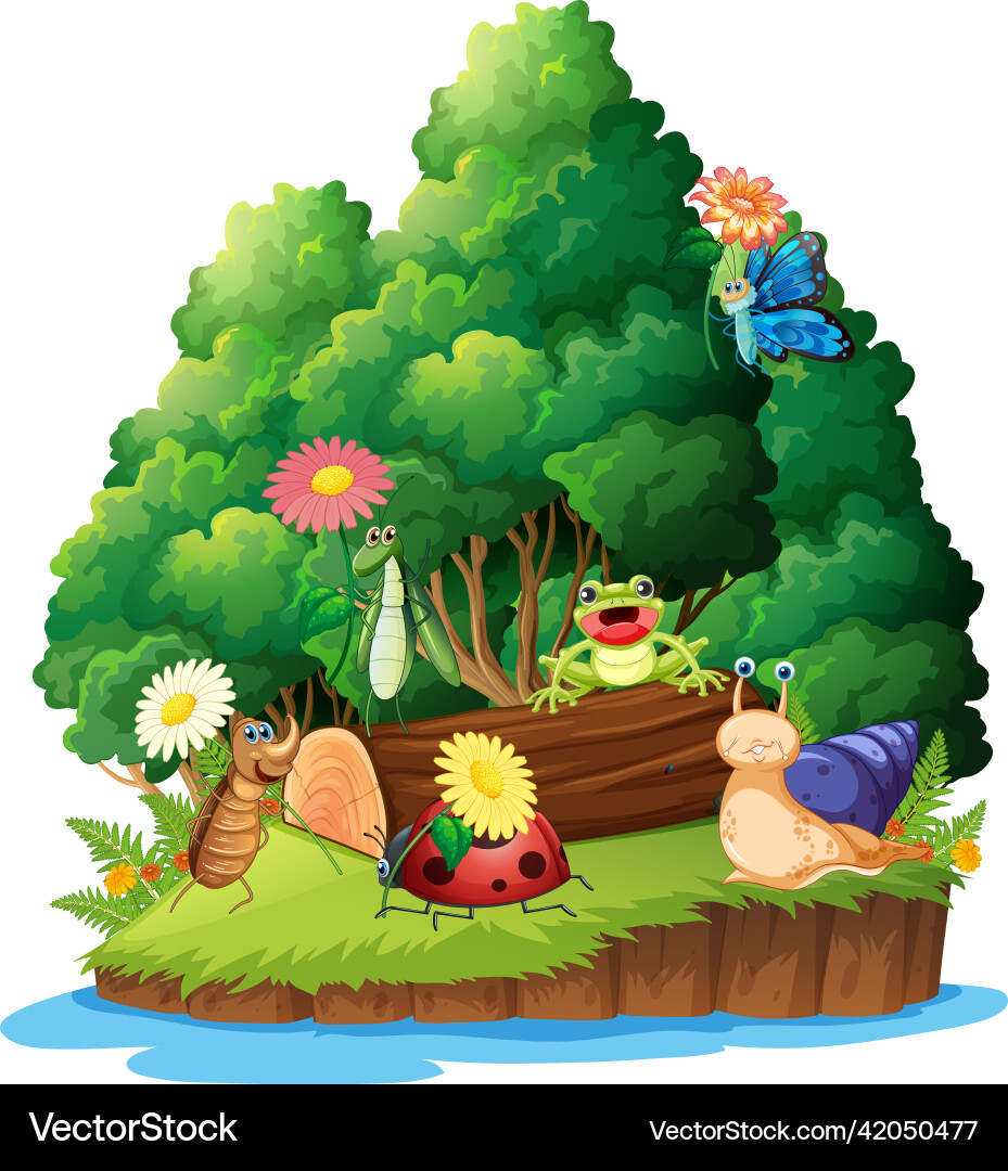 Cartoon insect and beetle in the forest Royalty Free Vector