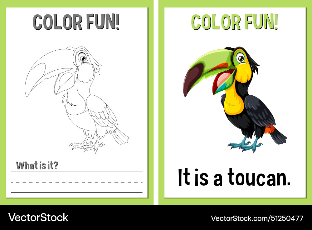 Coloring and learning activity with a toucan Vector Image
