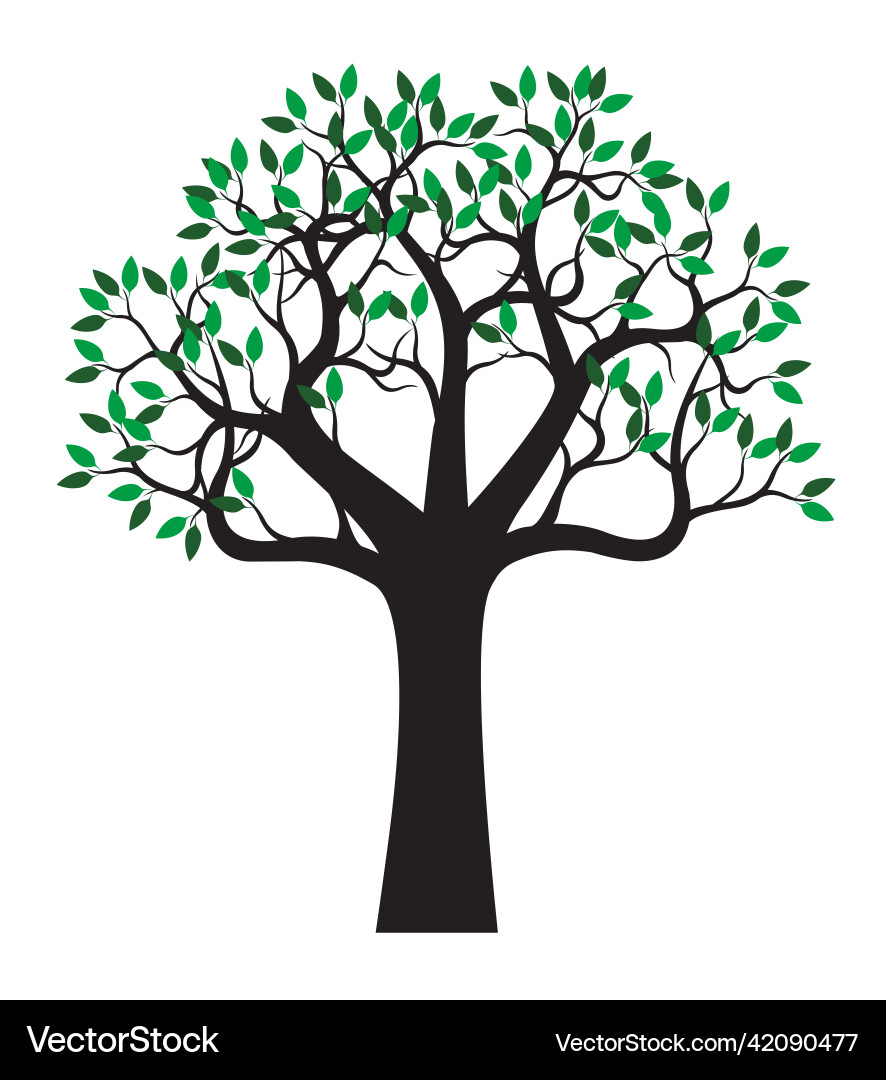 Green spring tree Royalty Free Vector Image - VectorStock