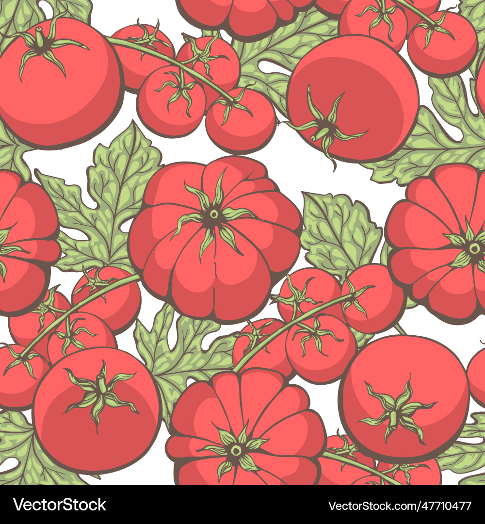 Natural tomato seamless pattern Royalty Free Vector Image